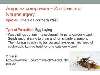 Parasites | PPTX