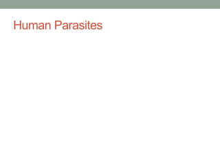 Parasites | PPTX | Infectious Diseases | Diseases and Conditions