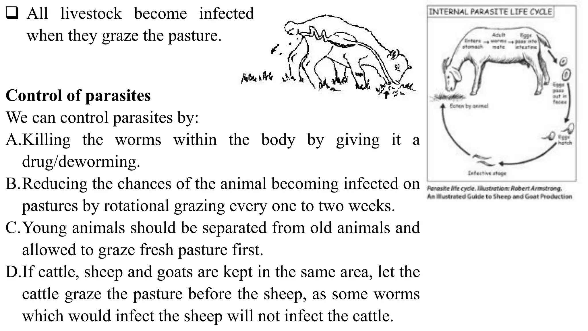 Animal Parasites and Diseases of livestock | PDF