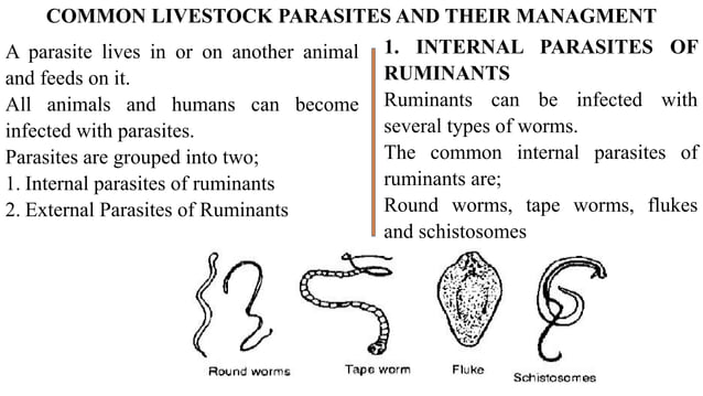Animal Parasites and Diseases of livestock | PDF