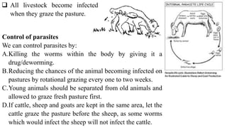 Animal Parasites and Diseases of livestock | PDF