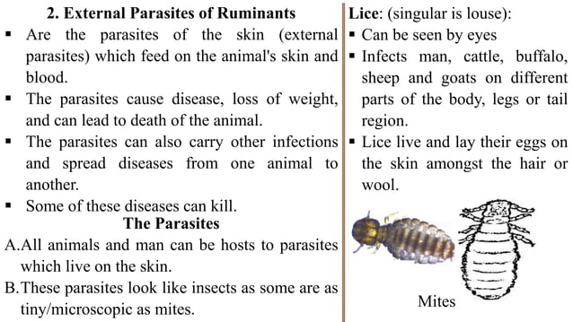 Animal Parasites and Diseases of livestock | PDF