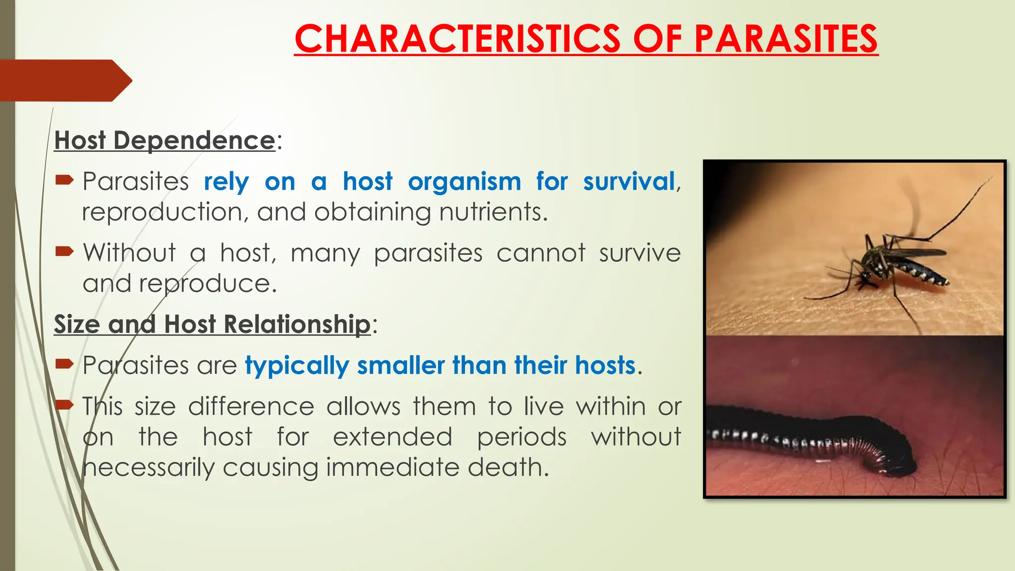 parasites/parasite in microbiology .pptx