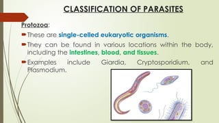 parasites/parasite in microbiology .pptx