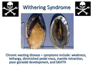 Parasites Lab 08 | PPT