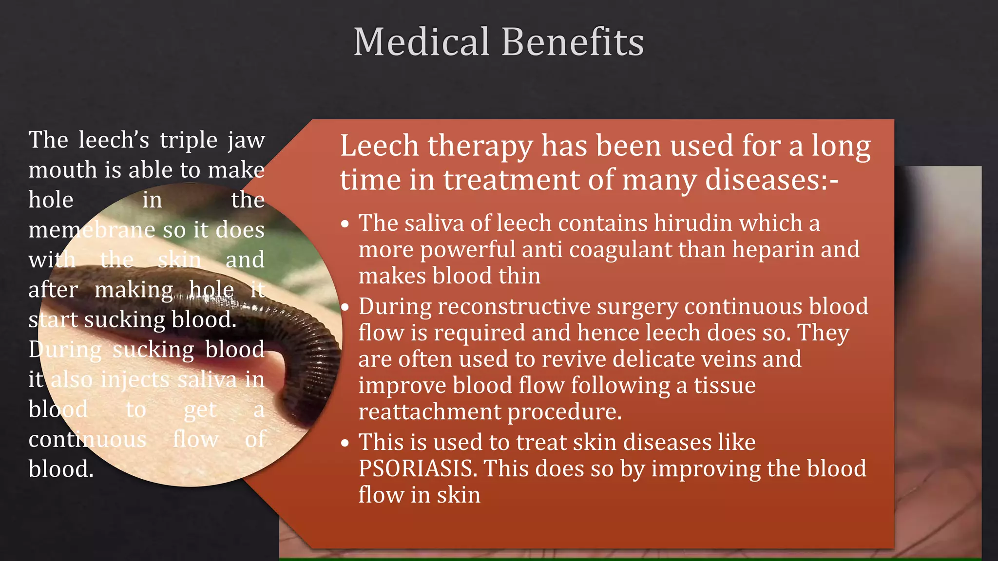 Parasites as Human Friends | PPTX