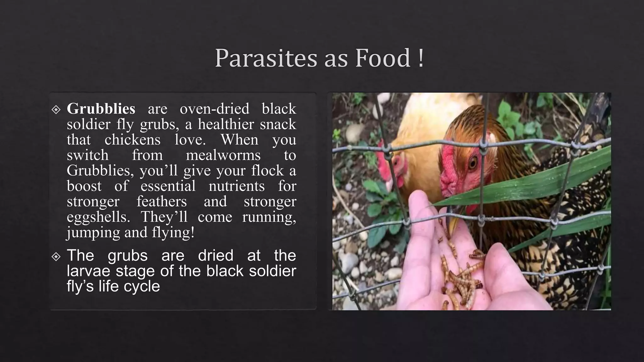 Parasites as Human Friends | PPTX