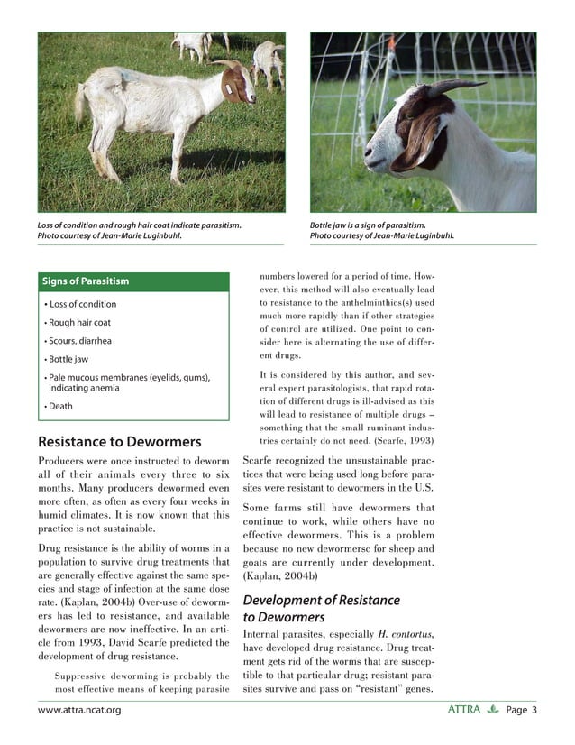 Managing Internal Parasites in Sheep and Goats | PDF