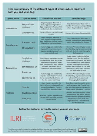 Parasites in dogs | PDF