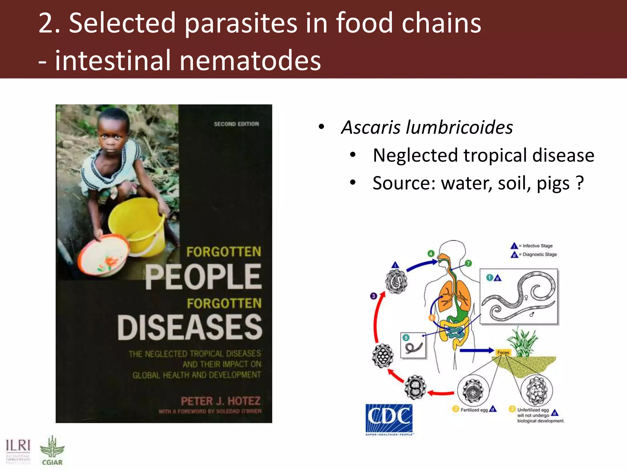 Parasites in food chains | PPTX