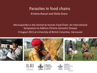 Parasites in food chains | PPT