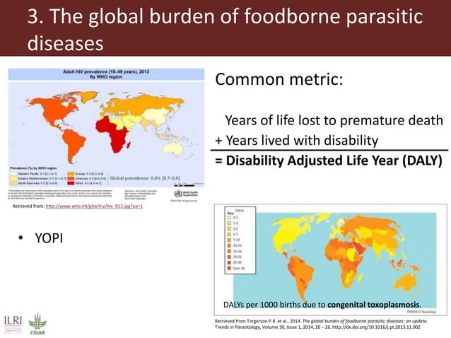 Parasites in food chains | PPT