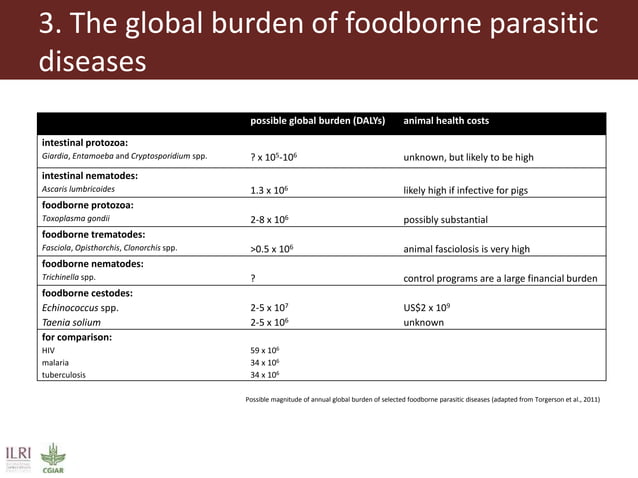 Parasites in food chains | PPT
