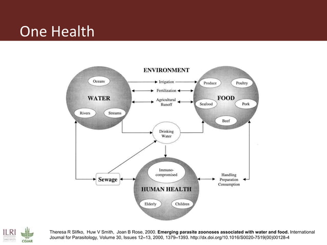 Parasites in food chains | PPT