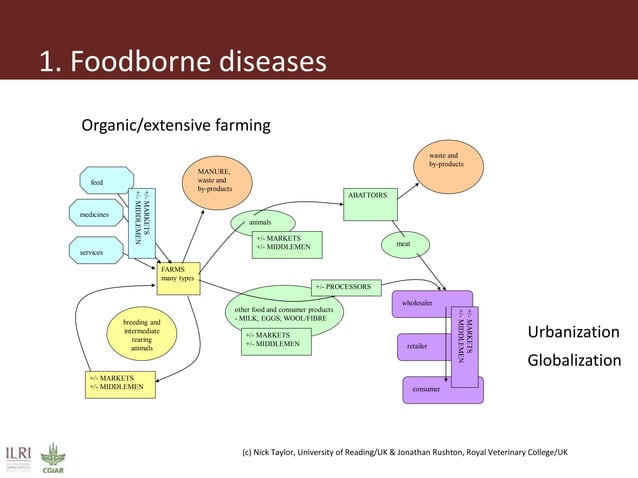 Parasites in food chains | PPT
