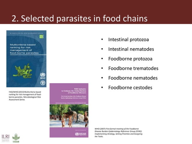 Parasites in food chains | PPT