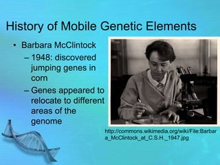 Parasites in Your DNA | PPTX