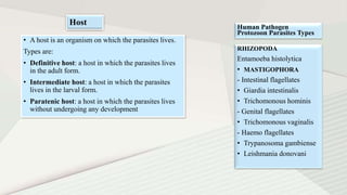 Parasite sminar.pptx