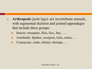 parasites of skin-1.pptx