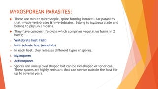 PARASITE WITH POLAR FILAMENTS PowerPoint presentation | PPTX