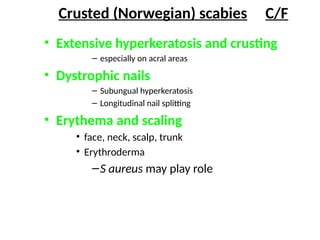 Comprehensive Overview of Scabies and Cutaneous Leishmaniasis ...
