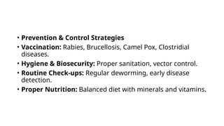 Parasitic and metabolic Disease of Camelide.pptx