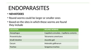 parasitic and metabolic diseases of poultry | PPTX