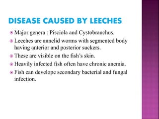 Parasitic and mycotic diseases | PPT