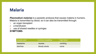 Human Parasitic Disease | PPTX