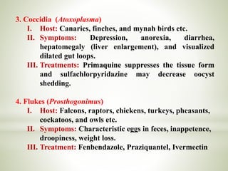 Parasitic disease in wild animals | PPTX