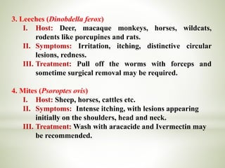 Parasitic disease in wild animals | PPTX