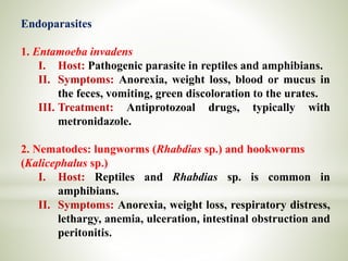 Parasitic disease in wild animals | PPTX