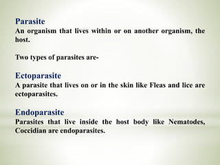 Parasite Prevention Coloring Pages