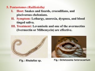 Parasitic disease in wild animals | PPT