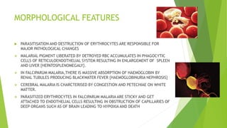 PARASITIC DISEASES-1.pptx