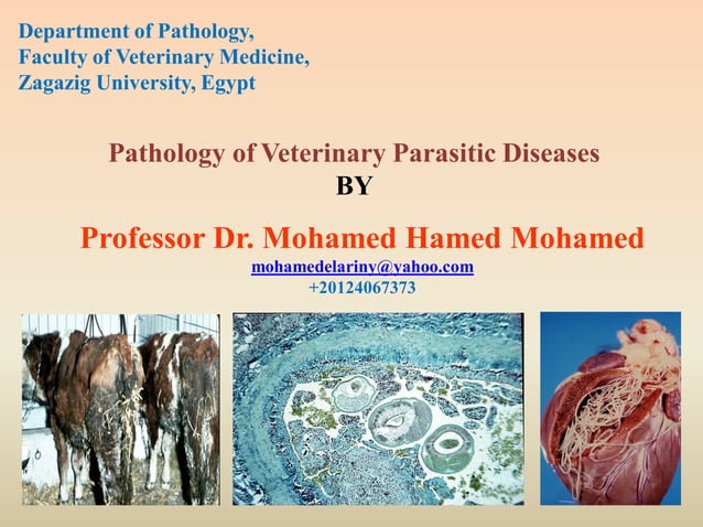 pathology of Parasitic diseases | PDF