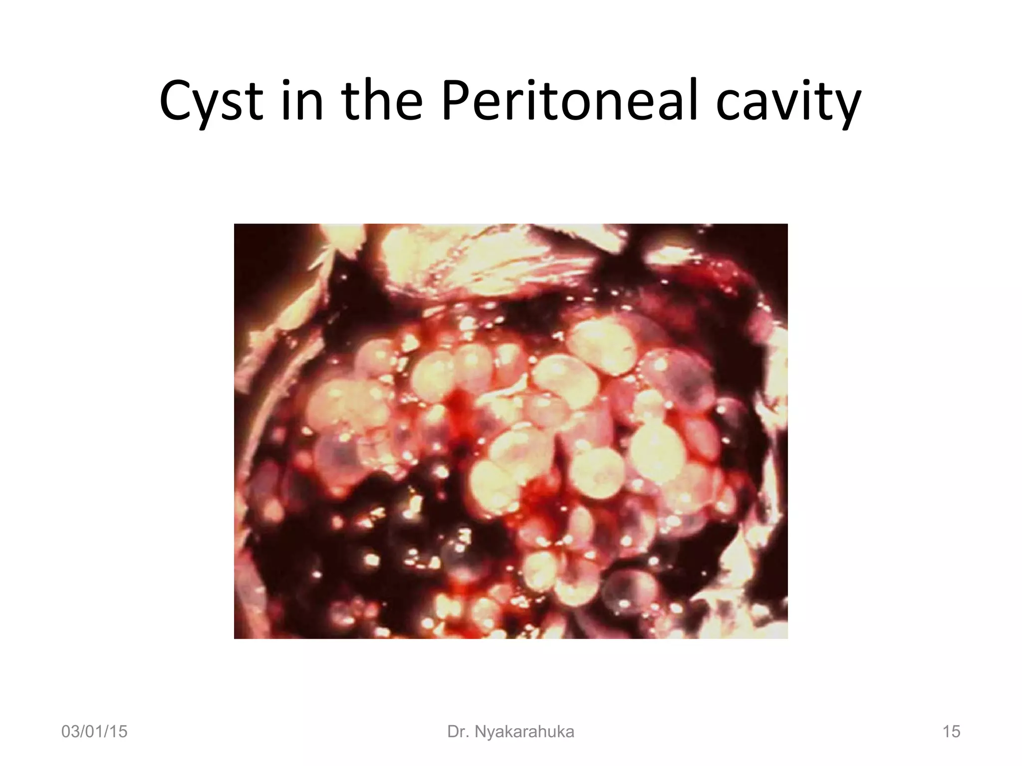 Parasitic diseases important_in_meat_inspection | PPT