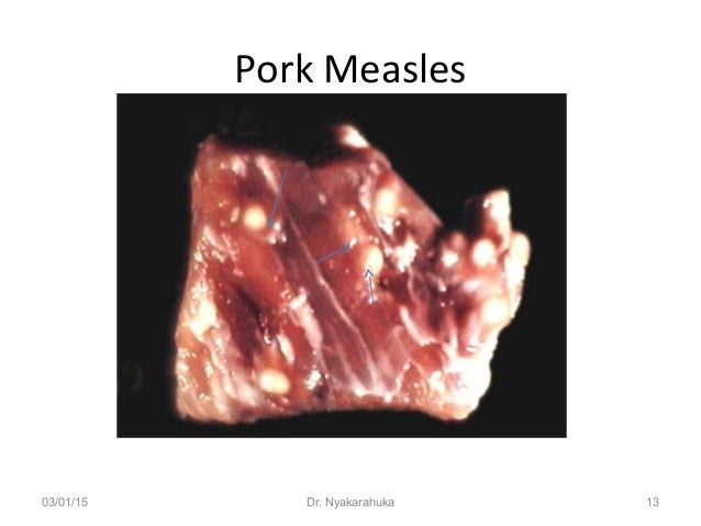 Parasitic diseases important_in_meat_inspection