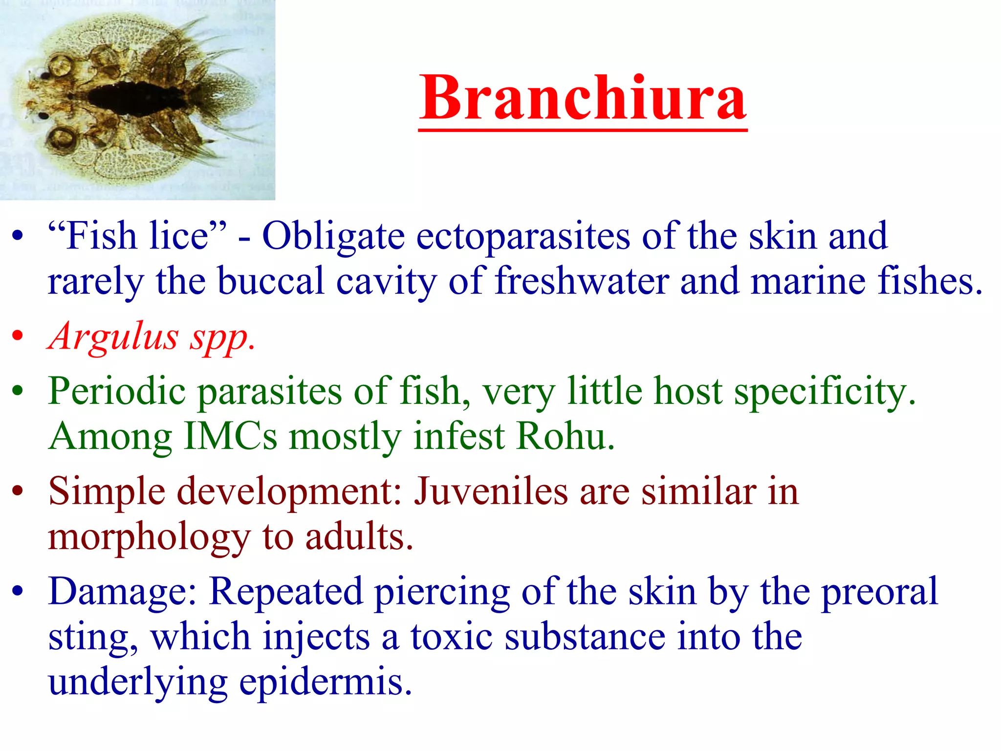 Parasitic diseases of fish | PDF