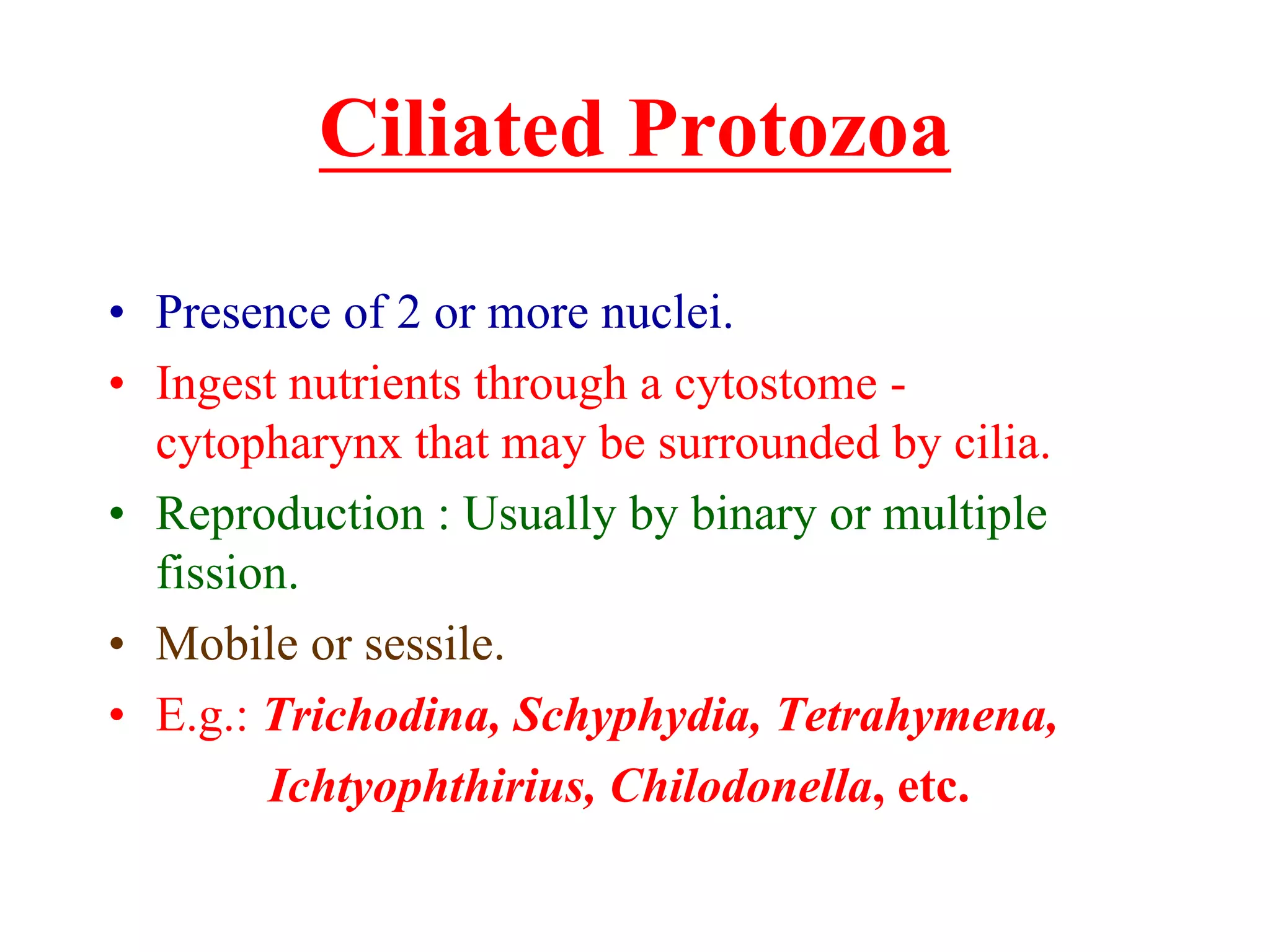 Parasitic diseases of fish | PDF