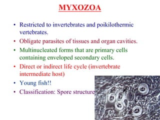 Parasitic diseases of fish | PDF