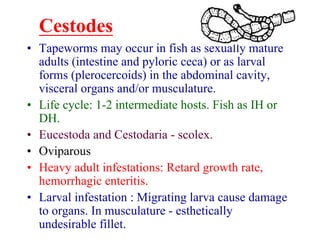 Parasitic diseases of fish | PDF