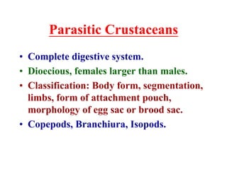 Parasitic diseases of fish | PDF