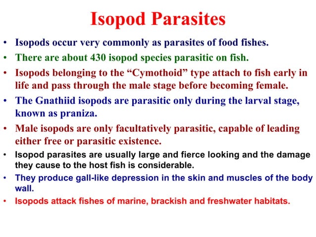 Parasitic diseases of fish | PDF | Fish and Aquariums | Pets