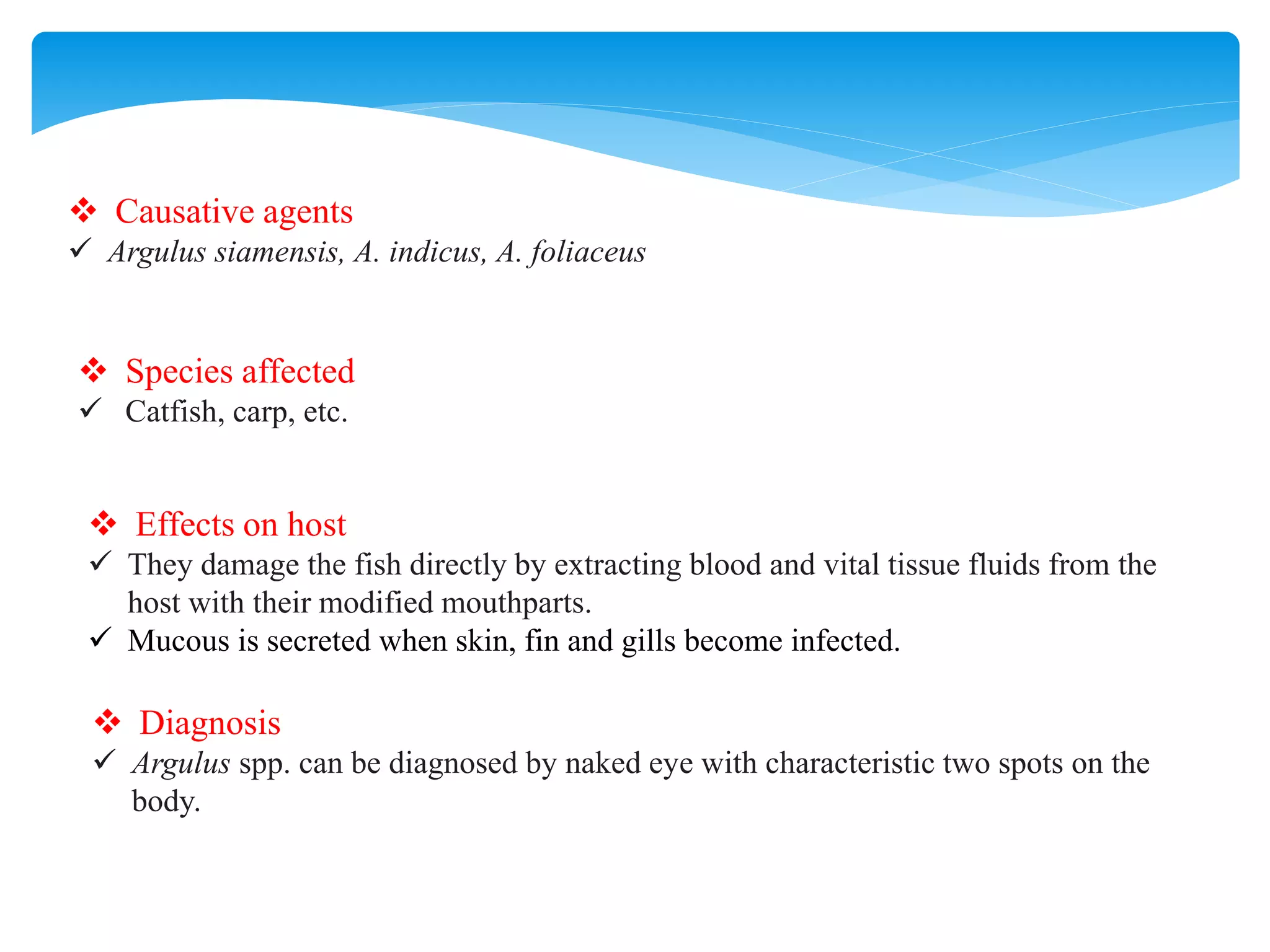 PARASITIC DISEASES OF FISHES.pptx | Fish and Aquariums | Pets