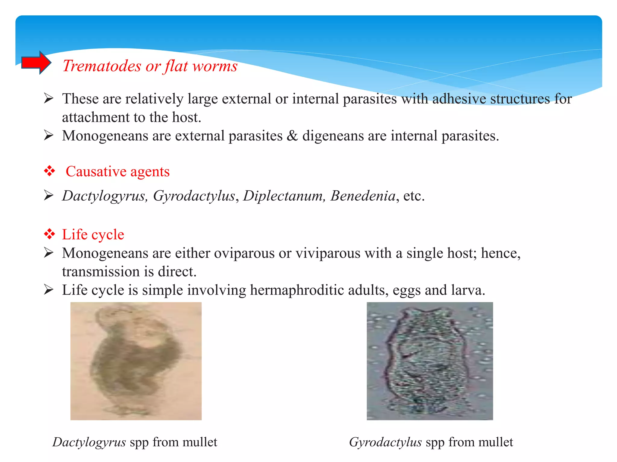 PARASITIC DISEASES OF FISHES.pptx