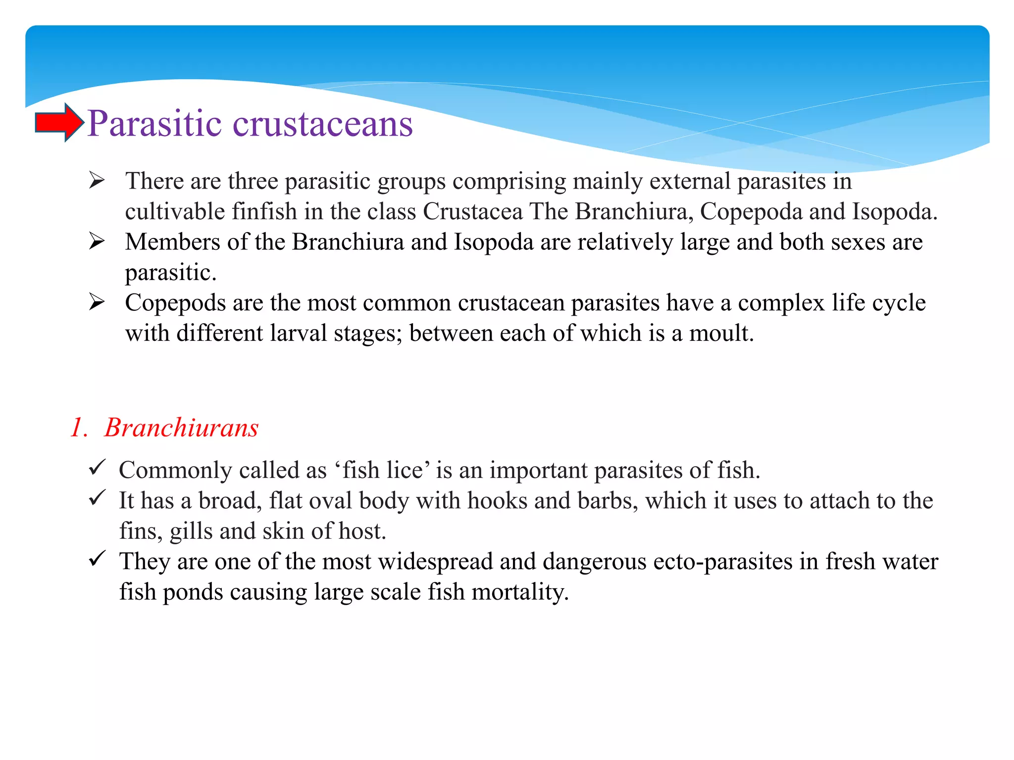 PARASITIC DISEASES OF FISHES.pptx
