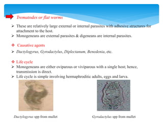 PARASITIC DISEASES OF FISHES.pptx