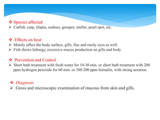 PARASITIC DISEASES OF FISHES.pptx