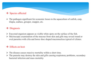 PARASITIC DISEASES OF FISHES.pptx